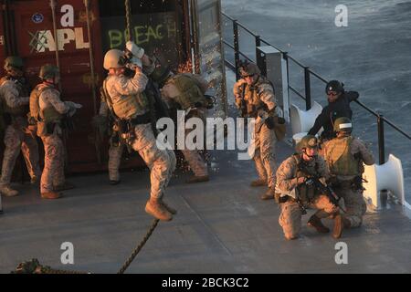 U.S. Marine Corps special operations command Marsoc raider with weapon ...