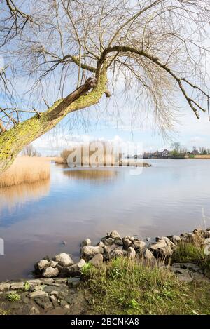 A beautiful view of stones in a river Stock Photo - Alamy