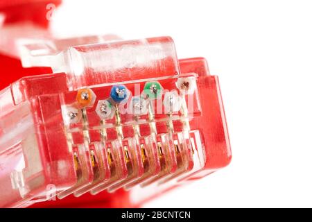 8P8C, RJ-45 crimped red ethernet modular connector, unshielded twisted ...