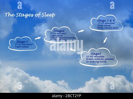 Four Stages of Normal Sleep Stock Photo - Alamy