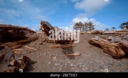 Great nature at La Push - The Beach at Quileute Reservation - travel ...