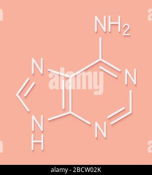 Adenine (A, Adenine) purine nucleobase molecule. Base present in DNA ...