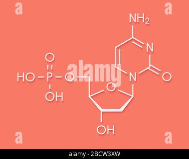 Deoxycytidine monophosphate (dCMP) nucleotide molecule. DNA building ...