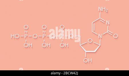 Deoxycytidine triphosphate (dCTP) nucleotide molecule. DNA building ...