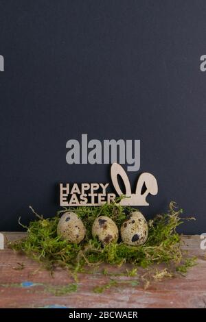 Quail eggs in a cardboard stand, close up shot Stock Photo - Alamy