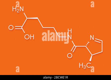Pyrrolysine (l-pyrrolysine, Pyl, O) amino acid molecule. Stylized ...