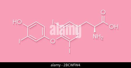 Chemical structure of a triiodothyronine (T3) molecule, thyroid hormone ...