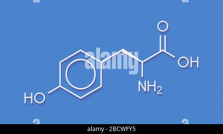 Tyrosine (l-tyrosine, Tyr, Y) amino acid molecule. Stylized skeletal ...