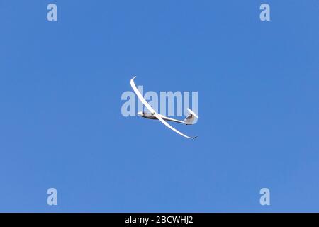 glider overhead in landing pattern Stock Photo - Alamy