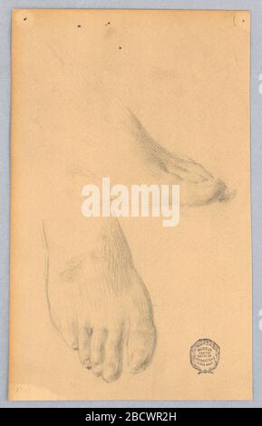 Study of a left foot, seen from the front Stock Photo - Alamy