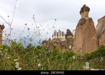 Geological formations and fairy chimneys in Cappadocia Turkey Stock ...