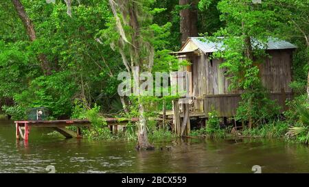 Wooden hut in the swamps - travel photography Stock Photo - Alamy