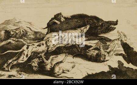 Pack of Dogs Attacking a Wild Boar 1975 by Jean-Baptiste Oudry Stock ...