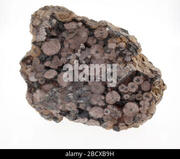Raw Natural Black Obsidian Volcanic Glass Mineral Isolated on White ...