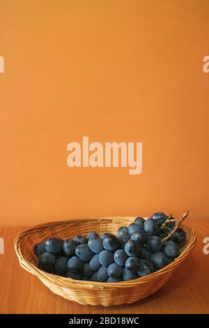 Concrete wall with grape vine in autumn. Selective focus Stock Photo ...