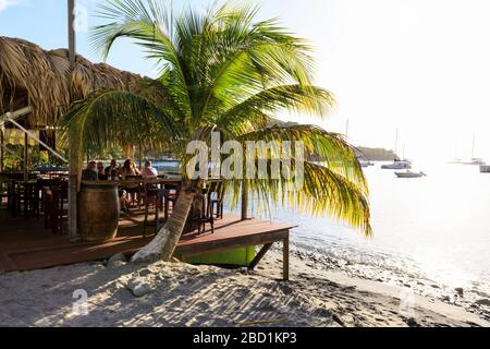 Palms and beach chair in Guadeloupe, French west indies. Lesser ...