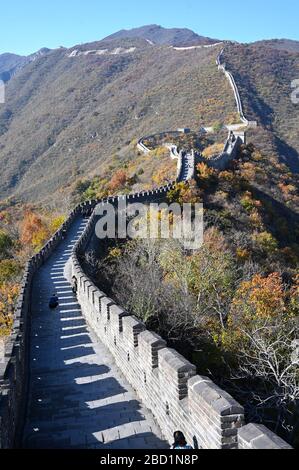 Great Wall of China vertical looking ups steep section with stairs to ...