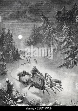 Wolves, wolf pack in Winter, Specht, Friedrich 1898 Stock Photo - Alamy