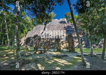 Pyramid of Structure VII, Calakmul, Campeche, Yucatan, Mexico Stock ...