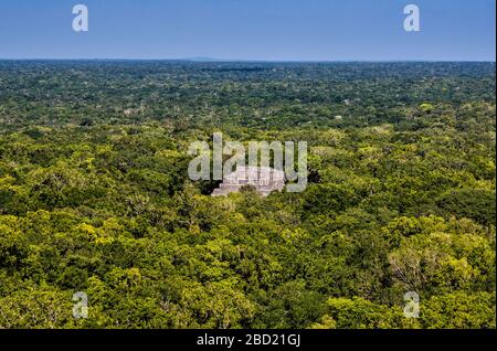 Pyramid of Structure VII, Calakmul, Campeche, Yucatan, Mexico Stock ...