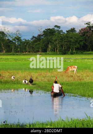 A Beautiful Scenery of Majuli Island, Assam Stock Photo - Alamy