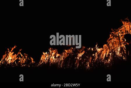 burning dry field in night time Stock Photo - Alamy