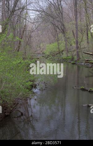 Glen Helen Preserve, Yellow Springs, Ohio Stock Photo - Alamy