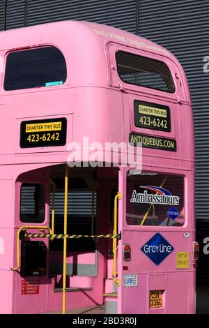 Pink Bus, Halifax, Nova Scotia, Canada Stock Photo - Alamy