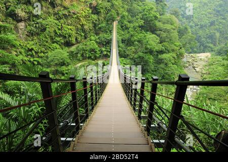 Sky Ladder the Bamboo Suspension Bridge in Nantou Taiwan Stock Photo ...