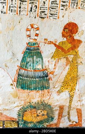 Human skin, SEM Stock Photo - Alamy