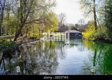 Sunny spring day at Arnot Hill Park, captured during the Covid-19 ...