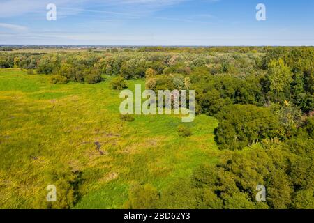 Aerial view of a dried-up marsh near a small woodland along the St ...