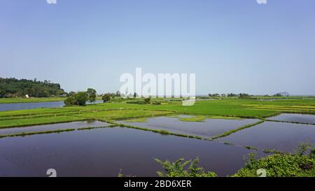 large rice fields around hue in vietnam Stock Photo - Alamy