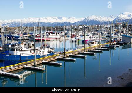 Marina in Homer Alaska Stock Photo - Alamy
