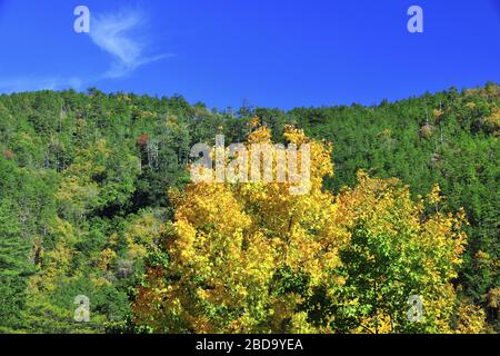 Scenic shot of Wuling Farm in Taichung Taiwan Stock Photo - Alamy
