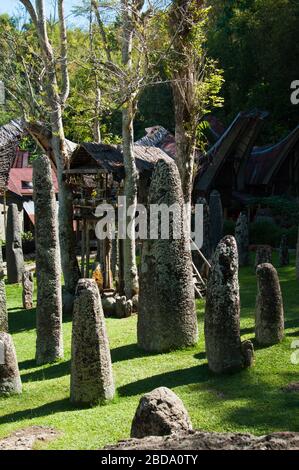 Megalitic site of Bori Kalimbuang in North Toraja, Indonesia. Tana ...