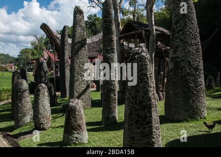 Megalitic site of Bori Kalimbuang in North Toraja, Indonesia. Tana ...