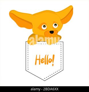 Fox Fenech funny cute cartoon hand drawing, animal character, print ...