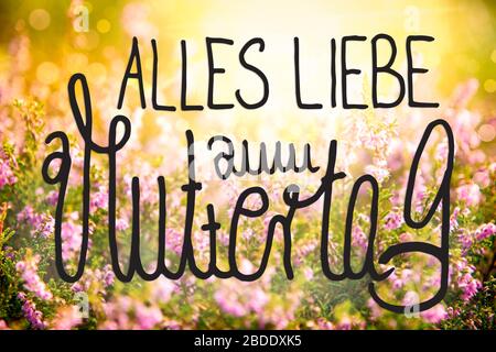 Erica Flower Field, Calligraphy Muttertag Means Happy Mothers Day Stock ...