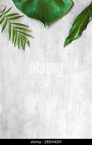 Green monstera, palm leaves, coconut, notebooks over trendy coral color ...