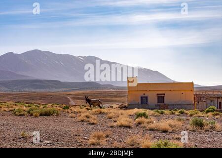 Farm Scene in Midelt Morocco with a Donkey Stock Photo - Alamy