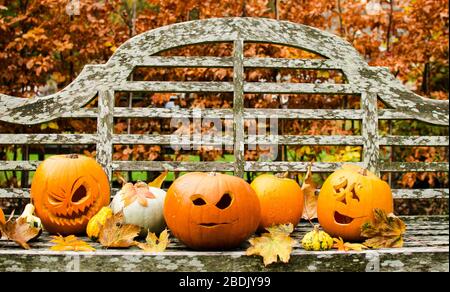 Carved Halloween Pumpkin Displays in a Park Stock Photo - Alamy