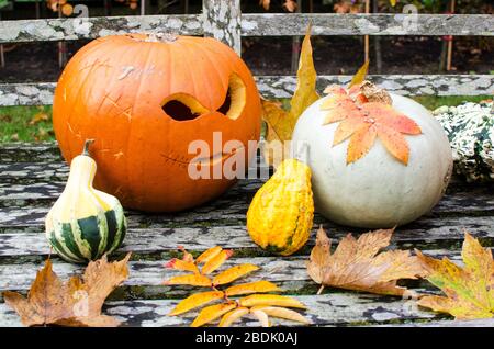 Carved Halloween Pumpkin Displays in a Park Stock Photo - Alamy