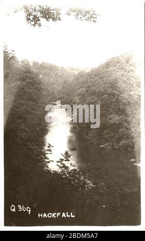 Hack Fall Wood, old postcard (5) 001 Stock Photo - Alamy