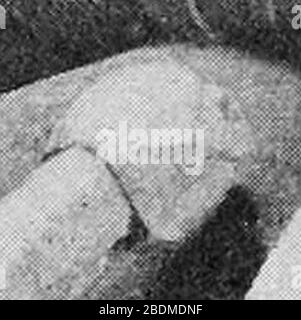 Halton Holegate Knight (1320) (pommel Stock Photo - Alamy