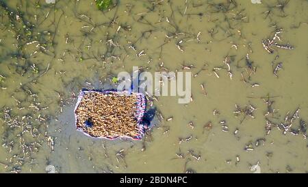 Tongling, Tongling, China. 9th Apr, 2020. 4Ã¦Å“Ë†8Ã Credit: SIPA Asia/ZUMA Wire/Alamy Live News ...