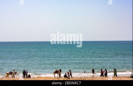 Tushan Beach, Keemari, Karachi, Sindh, Pakistan, Camel & Horse Ride ...