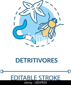 Detritus concept icon. Food chain energy producer organisms. Dead ...
