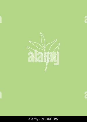 Unique Leaves Vector Line Icon Stock Vector Image & Art - Alamy