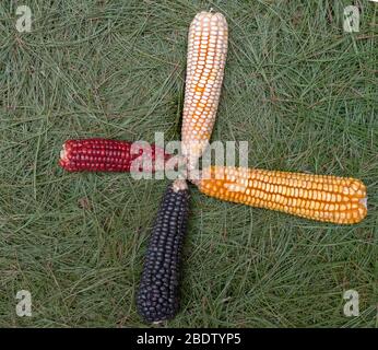 Different types of food Stock Photo - Alamy
